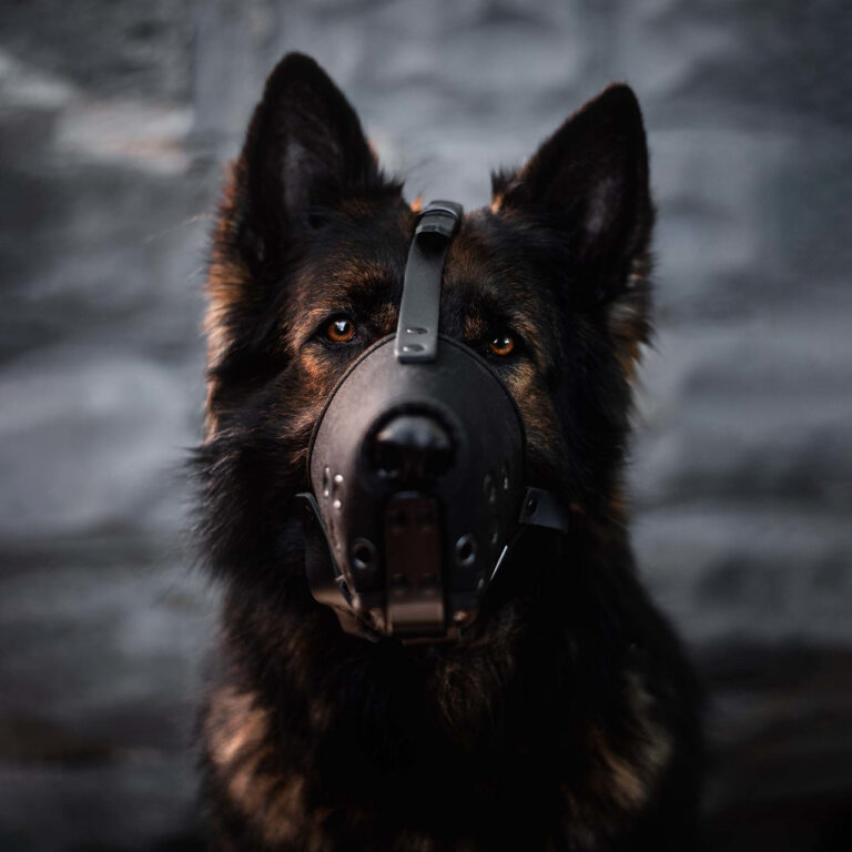 CIA Risk Assessment Method: The Unseen Architecture of Covert Ops and ...